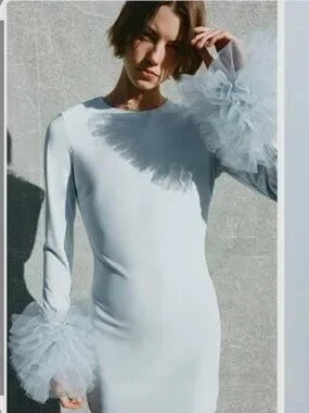 Zara | Dresses | Zara Short Tulle Cuff Dress | Poshmark